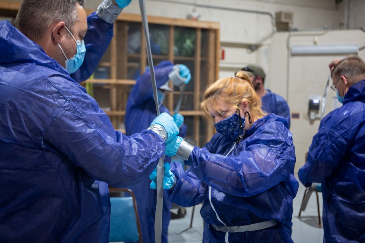 TREEO – University of Florida