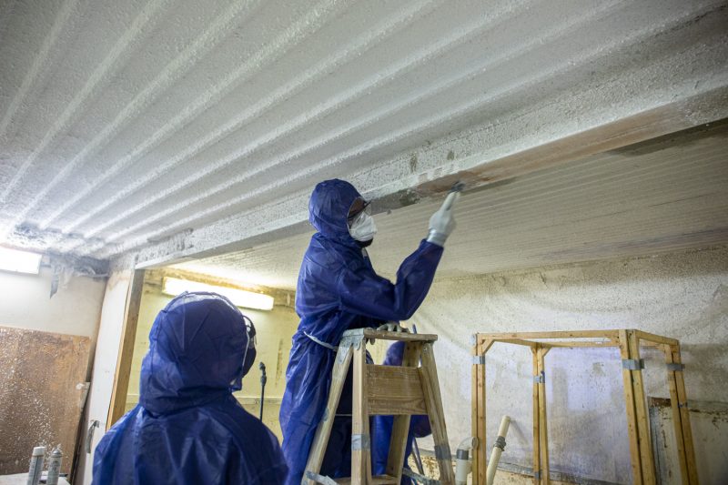 TREEO – University of Florida