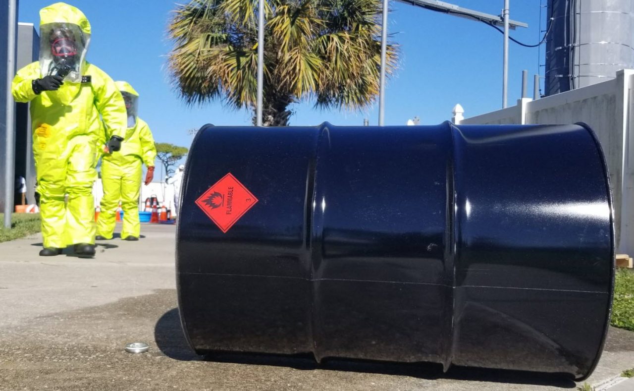 TREEO – University of Florida