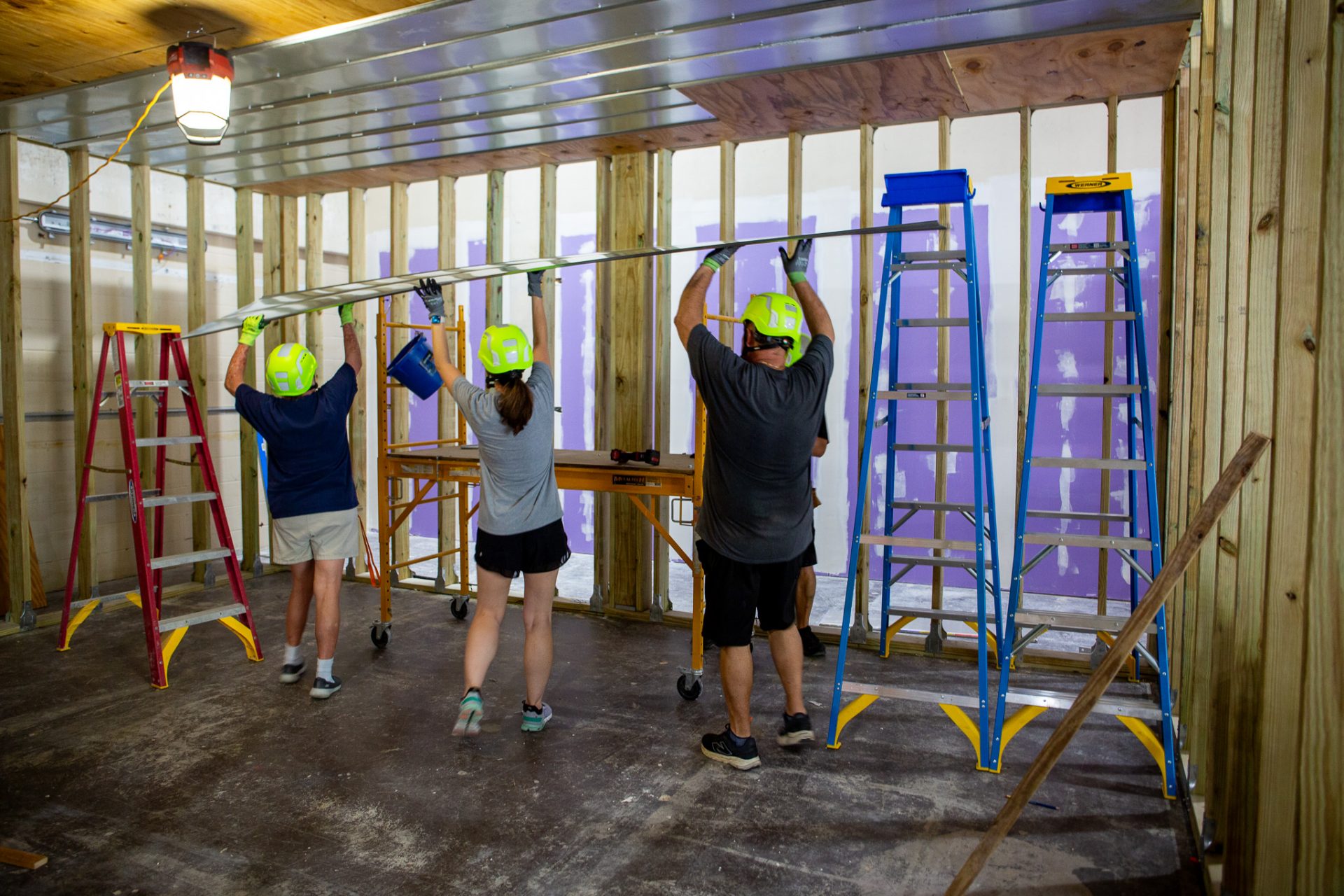 TREEO – University of Florida