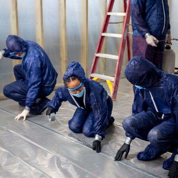 TREEO – University of Florida