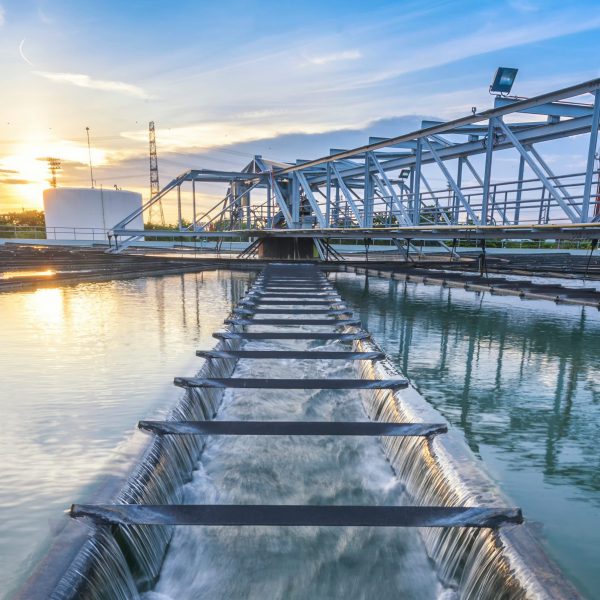 TREEO – University of Florida